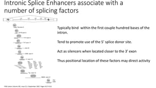 Splicing Regulation.pdf