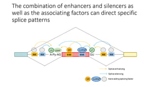 Splicing Regulation.pdf