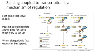 Splicing Regulation.pdf