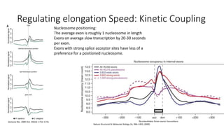 Splicing Regulation.pdf