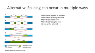 Splicing Regulation.pdf