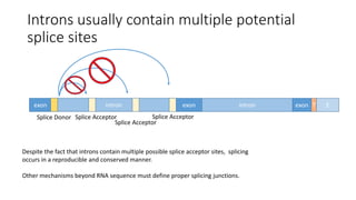 Splicing Regulation.pdf