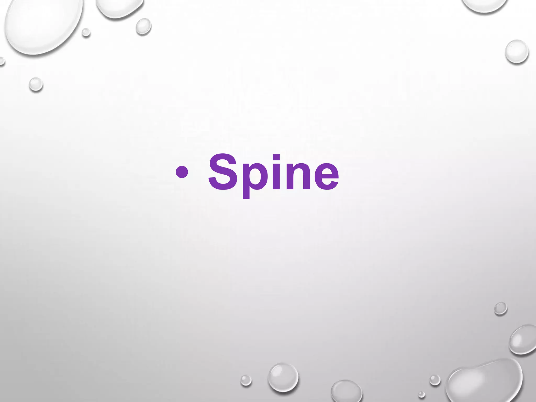 Splint ppt by rupeshkumar | PPTX