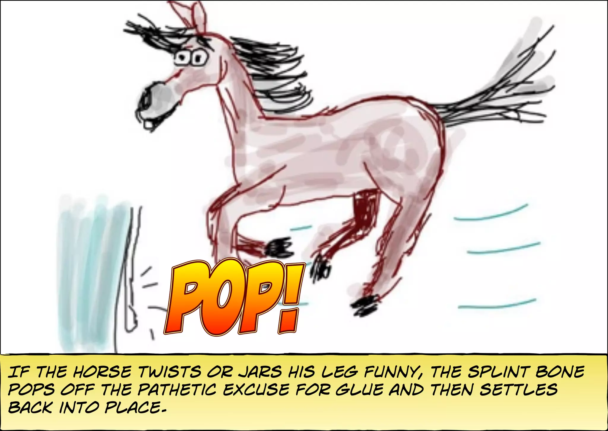 Equine splints - a comic | PDF