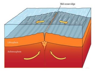 Split and separate! | PPTX