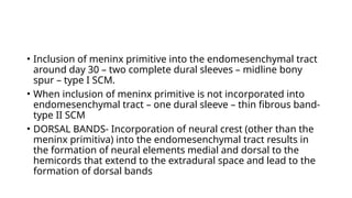 SPLIT CORD malformation of children.pptx | Free Download