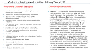 Splitting and lupming | PPTX