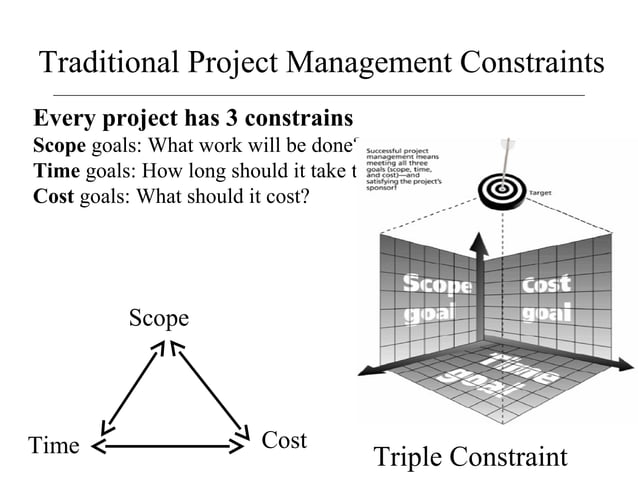 Software Project Management( lecture 1) | PPT | Computer Software and Applications | Computing