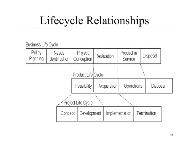 Software Project Management( lecture 1) | PPT | Computer Software and Applications | Computing