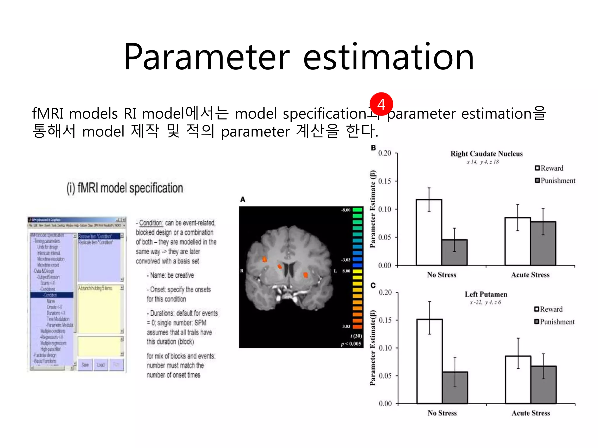 Spm12를 이용한 fmri analysis | PPTX
