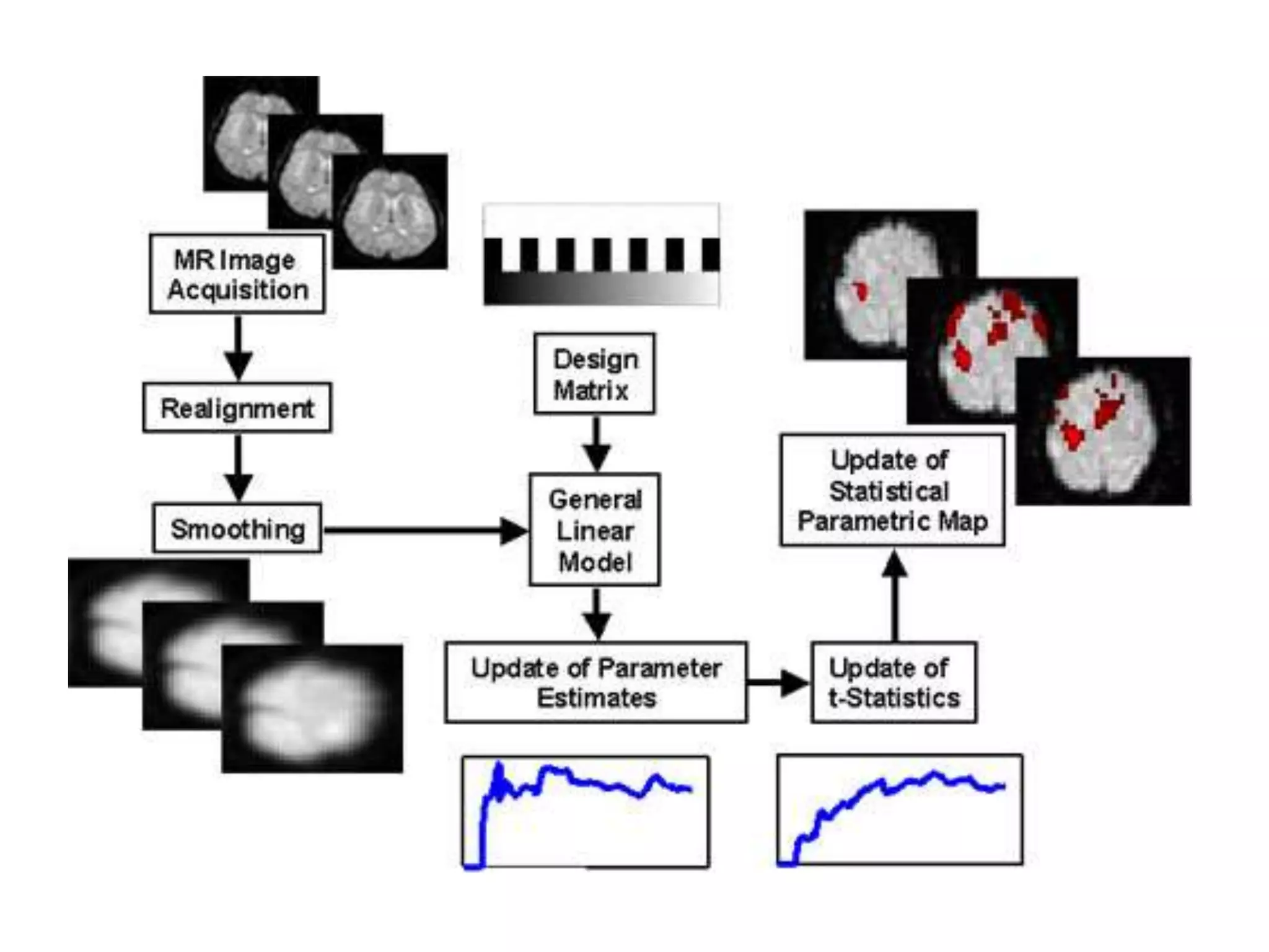 Spm12를 이용한 fmri analysis | PPTX