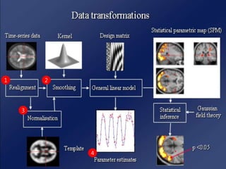 Spm12를 이용한 fmri analysis | PPT