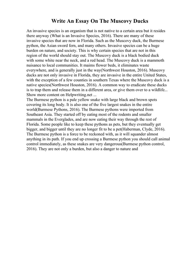Spm English Essay. Spm 2015 English Paper 1 Sample Answer | PDF