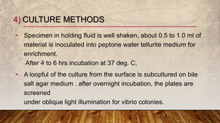 Cholera Diagnosis, Management, Treatment and Control | PPTX