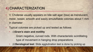 Cholera Diagnosis, Management, Treatment and Control | PPTX
