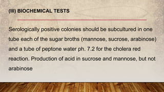 Cholera Diagnosis, Management, Treatment and Control | PPTX
