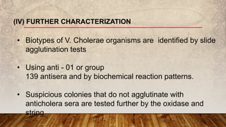 Cholera Diagnosis, Management, Treatment and Control | PPTX