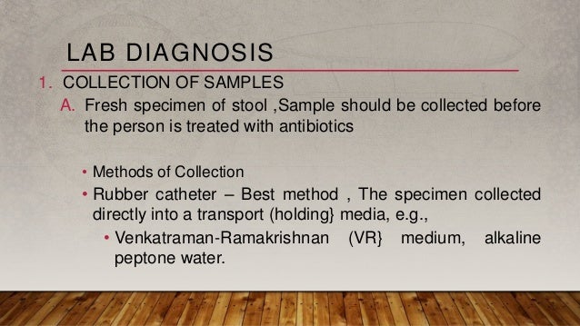 Cholera Diagnosis, Management, Treatment and Control