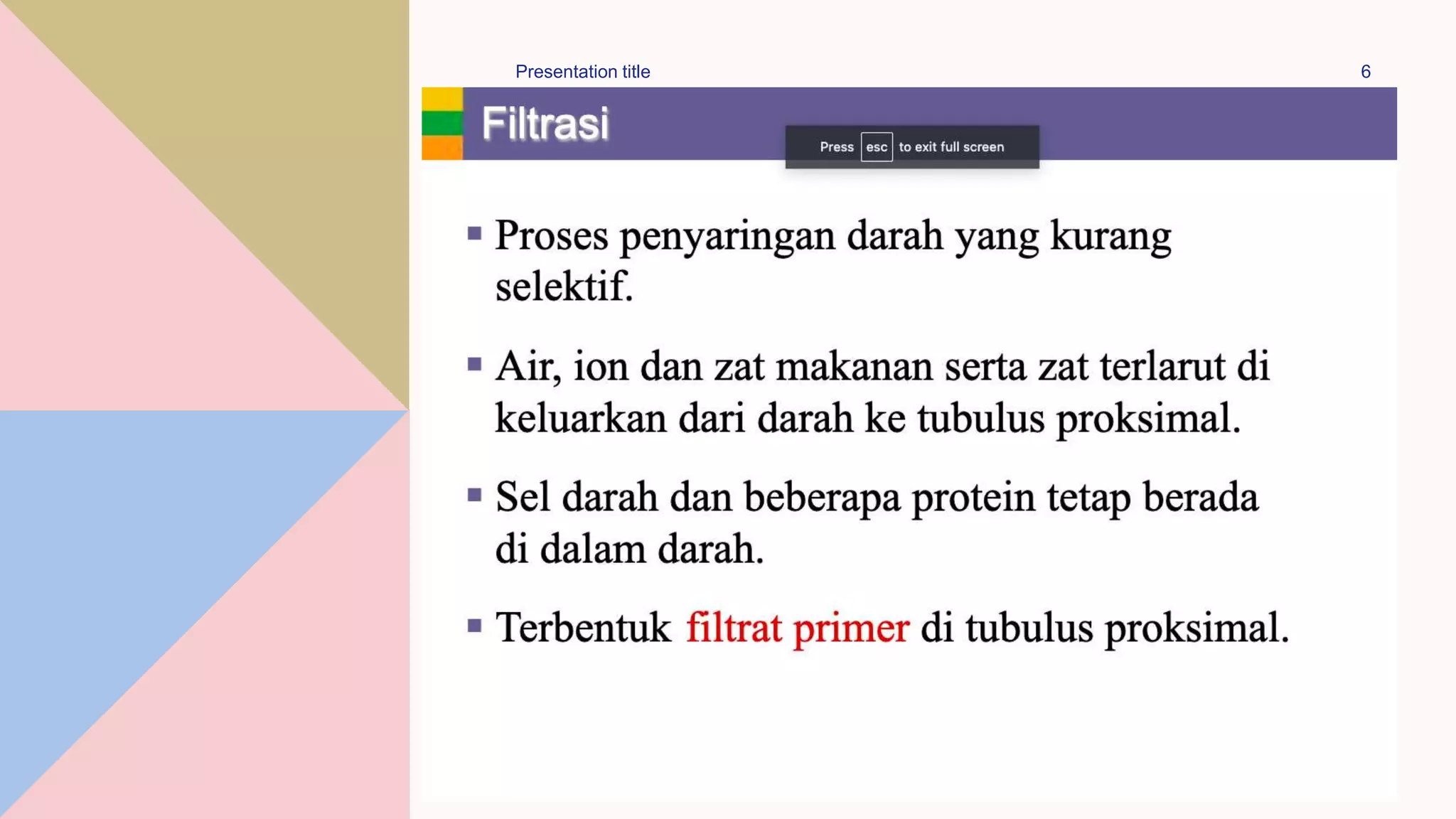 Sistem pernapasan.pptx