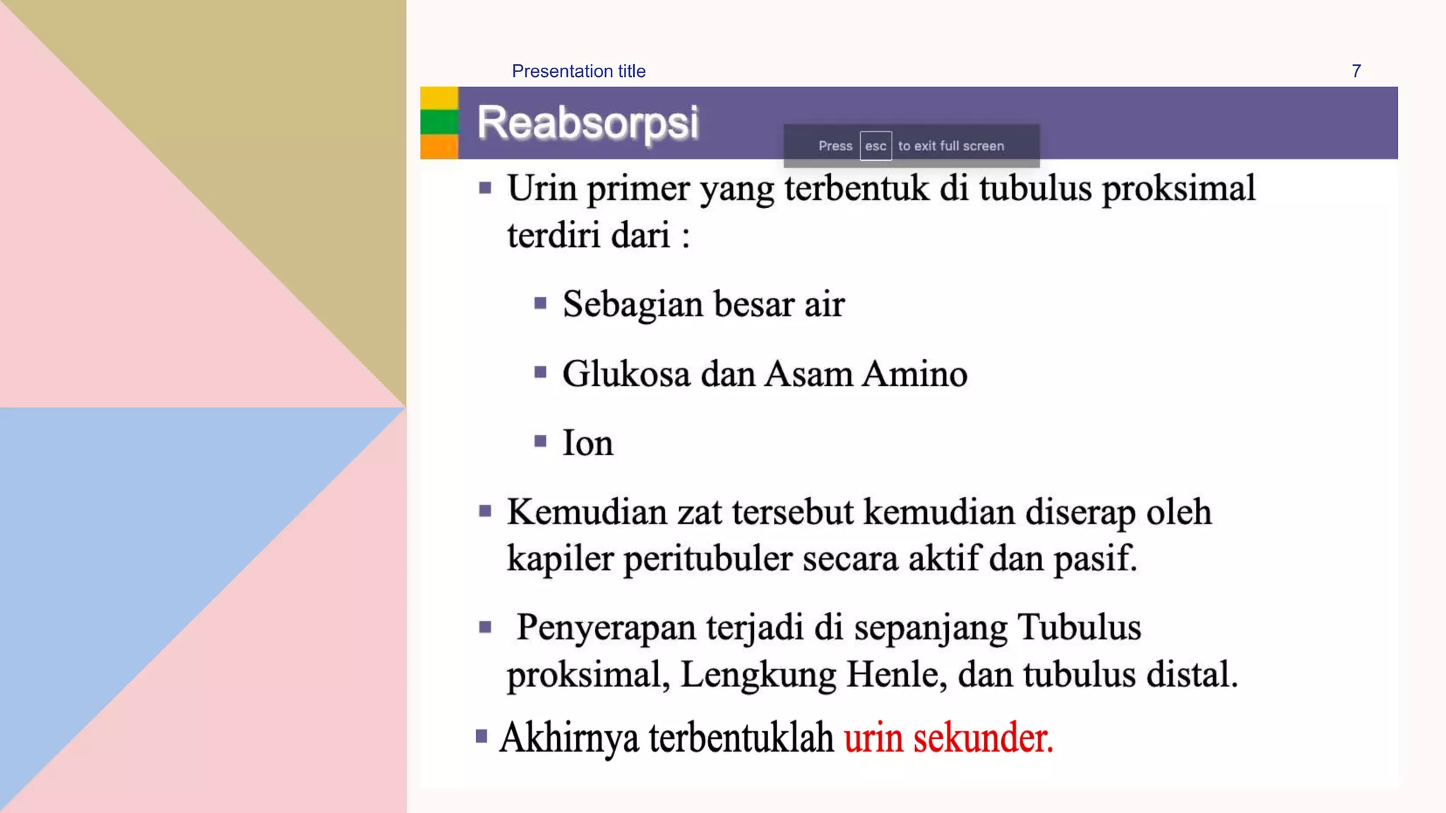 Sistem pernapasan.pptx