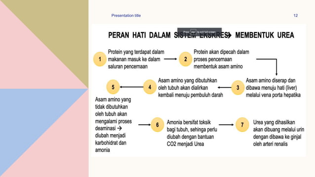 Sistem pernapasan.pptx