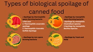 SPOILAGE OF CANNED FOOD .pdf