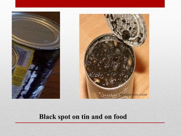 Spoilage of canned food | PPT