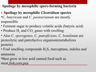 Spoilage of canned food | PPT