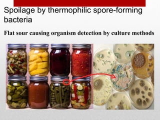 Spoilage of canned food | PPT