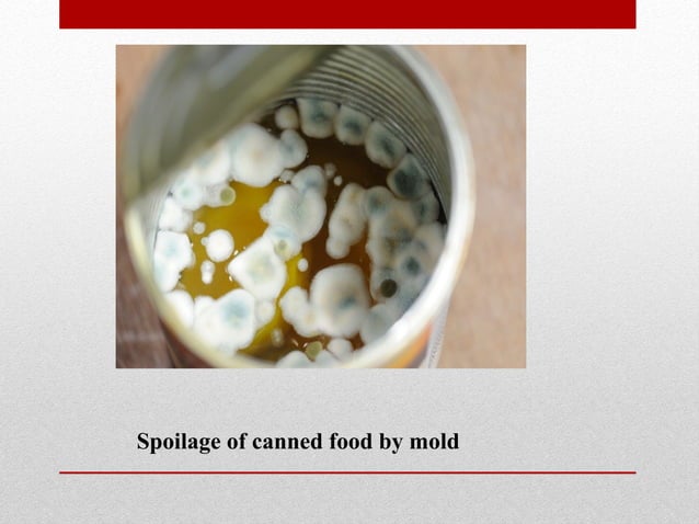 Spoilage of canned food