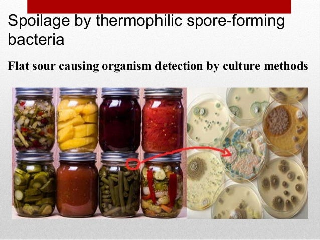 Spoilage Of Canned Food