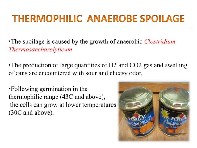 Spoilage of canned foods (MICROBIAL SPOILAGE) | PPTX