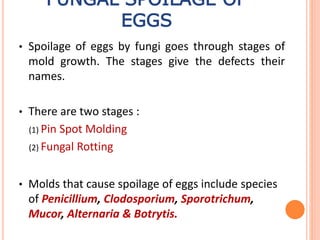 Spoilage of Egg | PPTX