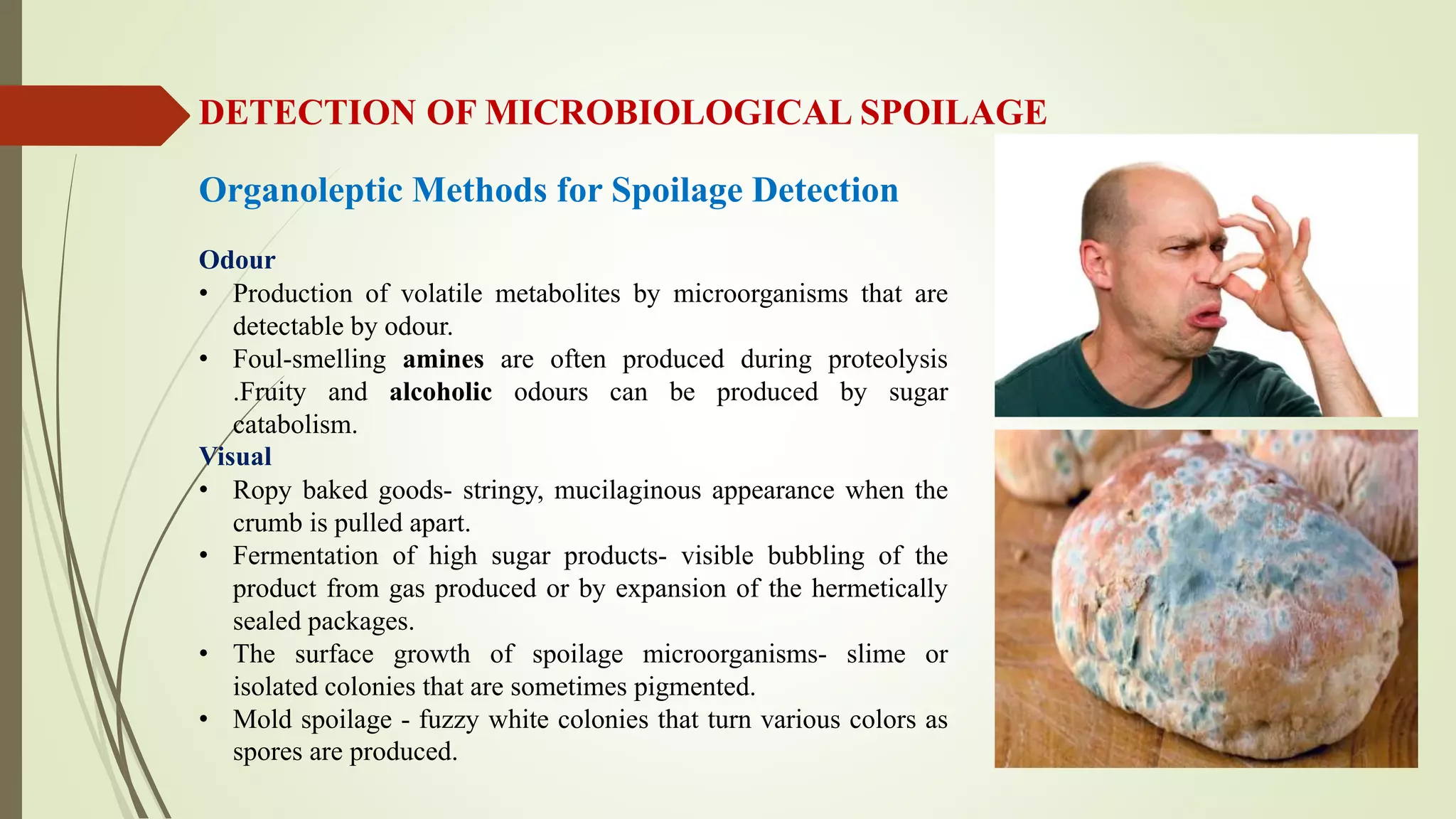 Spoilage of fermented food products | PPTX