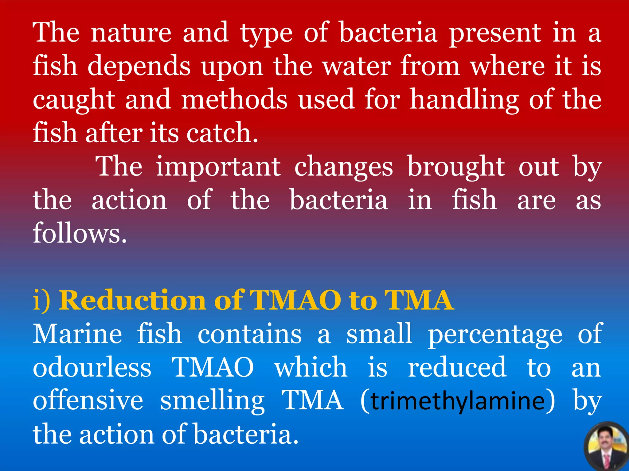 Spoilage of Fish (Process and Its Prevention) | PPTX