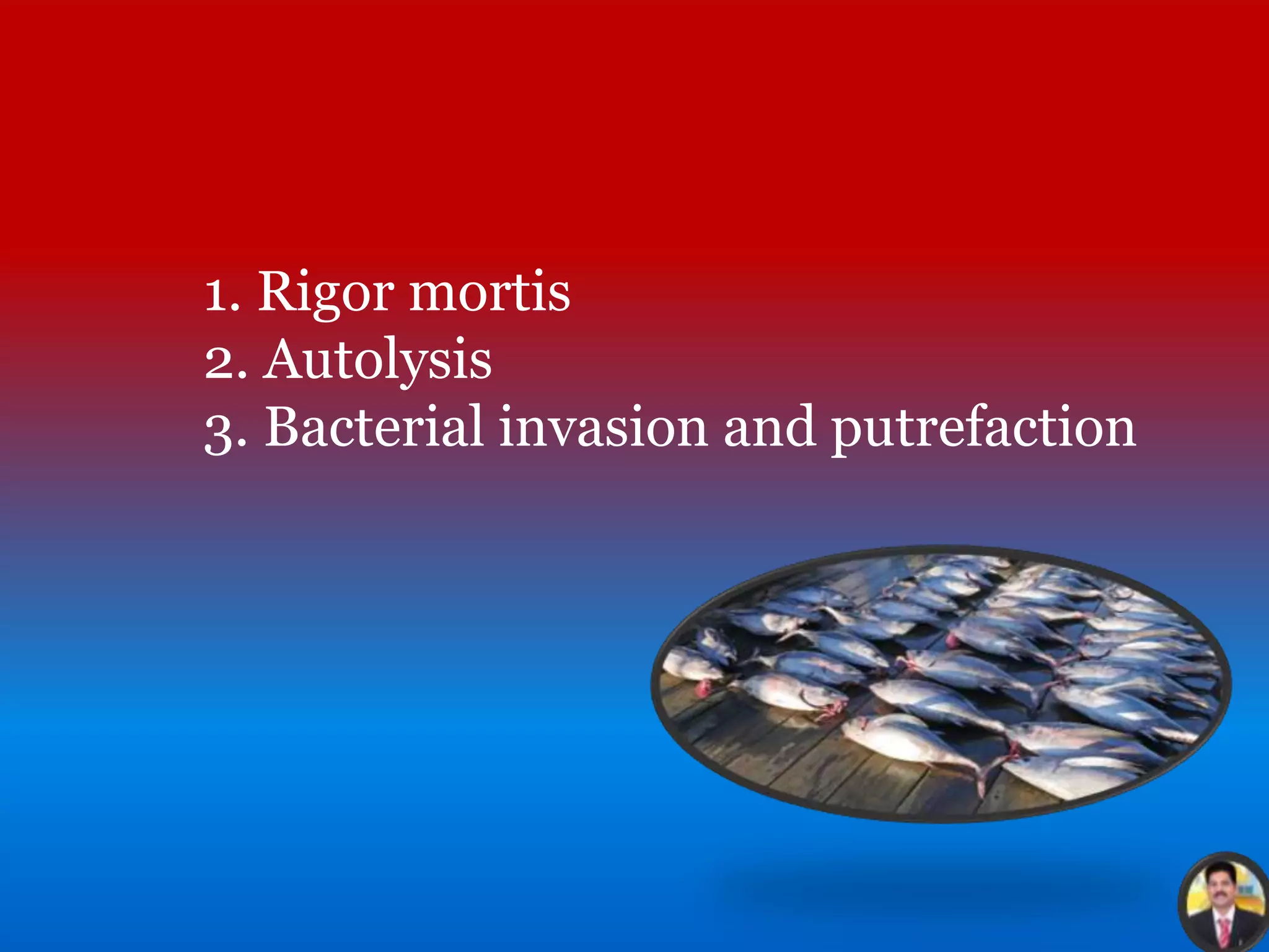 Spoilage of Fish (Process and Its Prevention) | PPTX