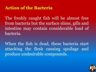 Spoilage of Fish (Process and Its Prevention) | PPTX