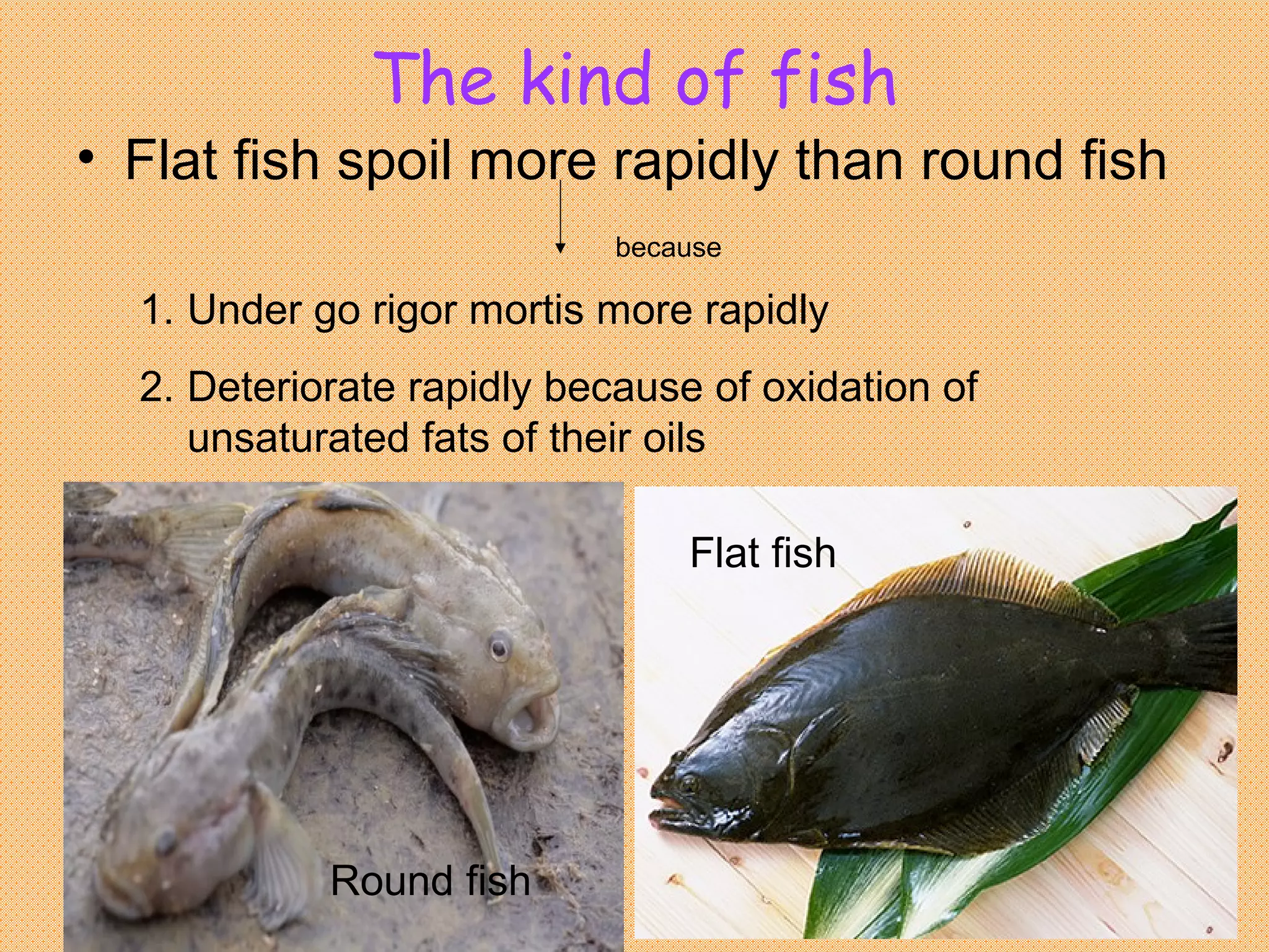 Spoilage of fish and other sea foods | PPT