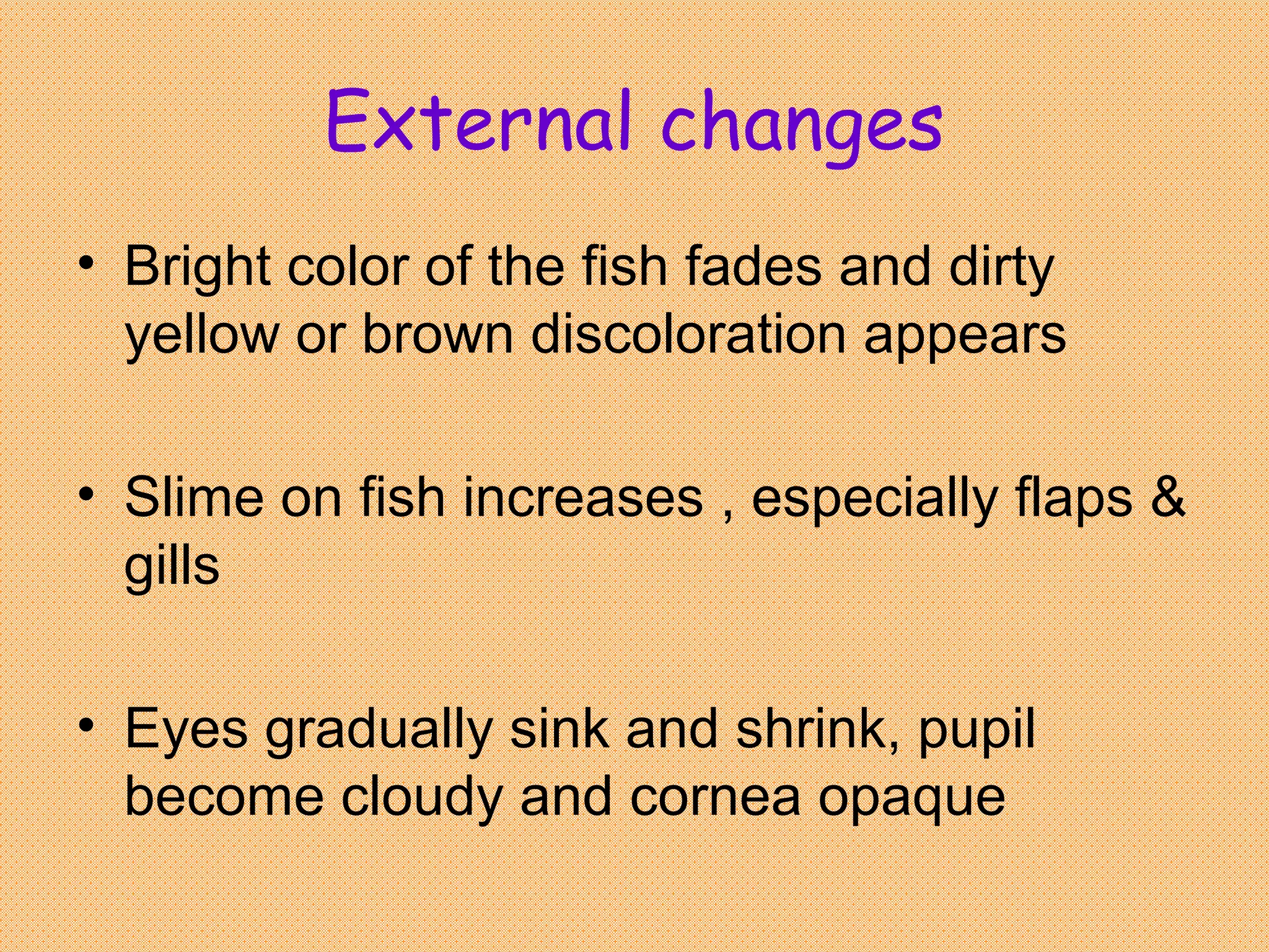 Spoilage of fish and other sea foods | PPT