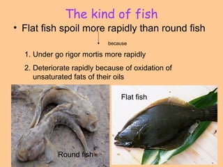 Spoilage of fish and other sea foods | PPT