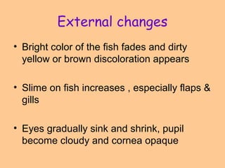 Spoilage of fish and other sea foods | PPT