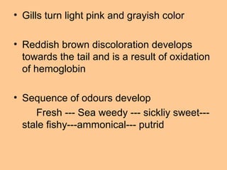 Spoilage of fish and other sea foods | PPT