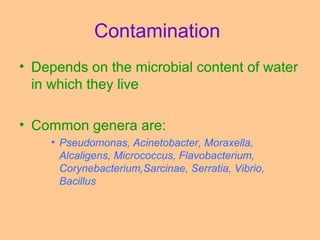 Spoilage of fish and other sea foods | PPT