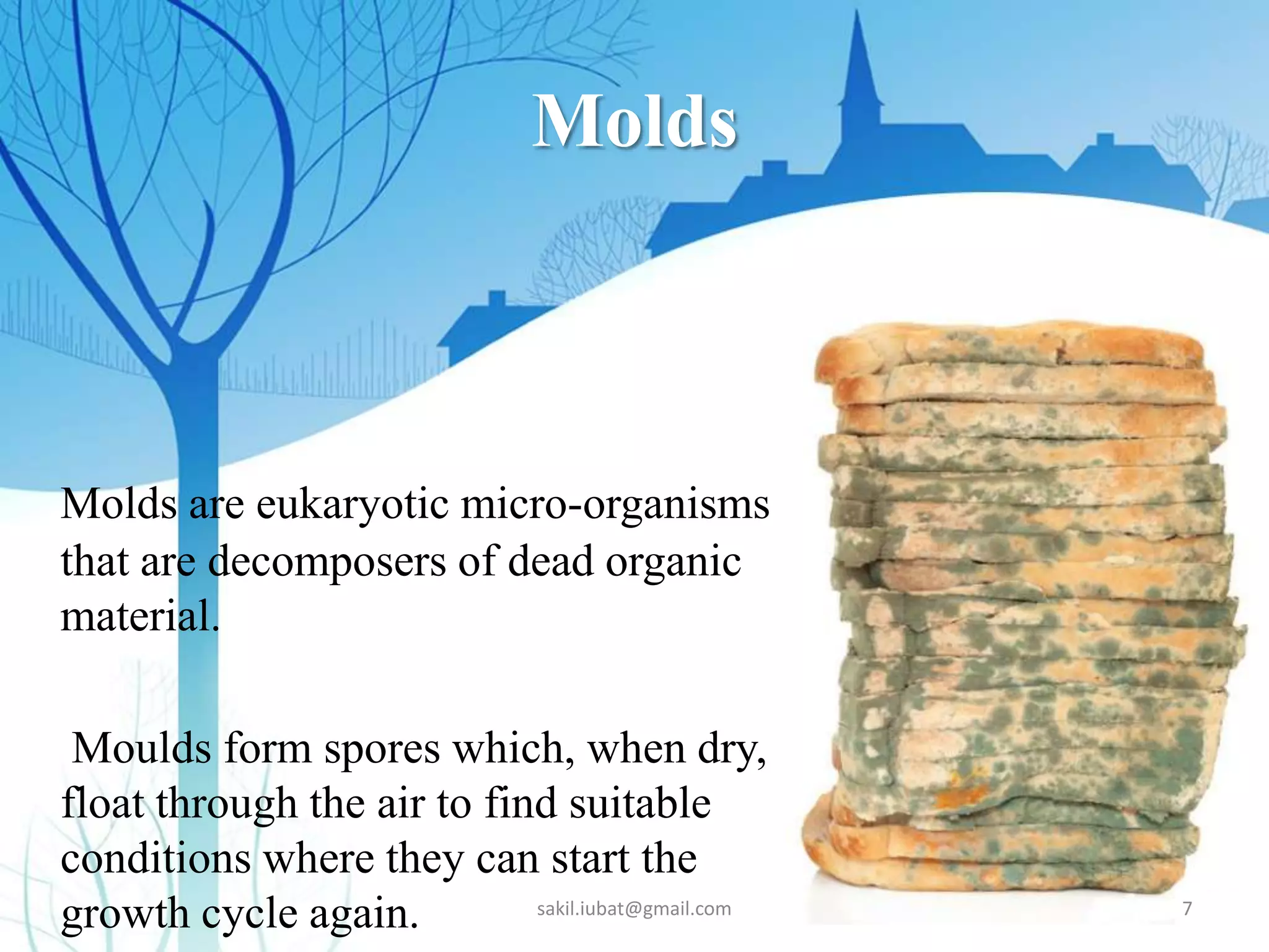 Spoilage of food | PPTX