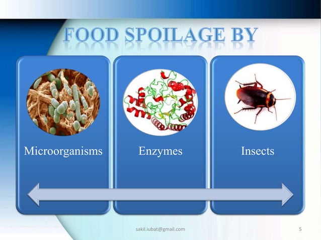 Spoilage of food | PPTX | Chemistry | Science