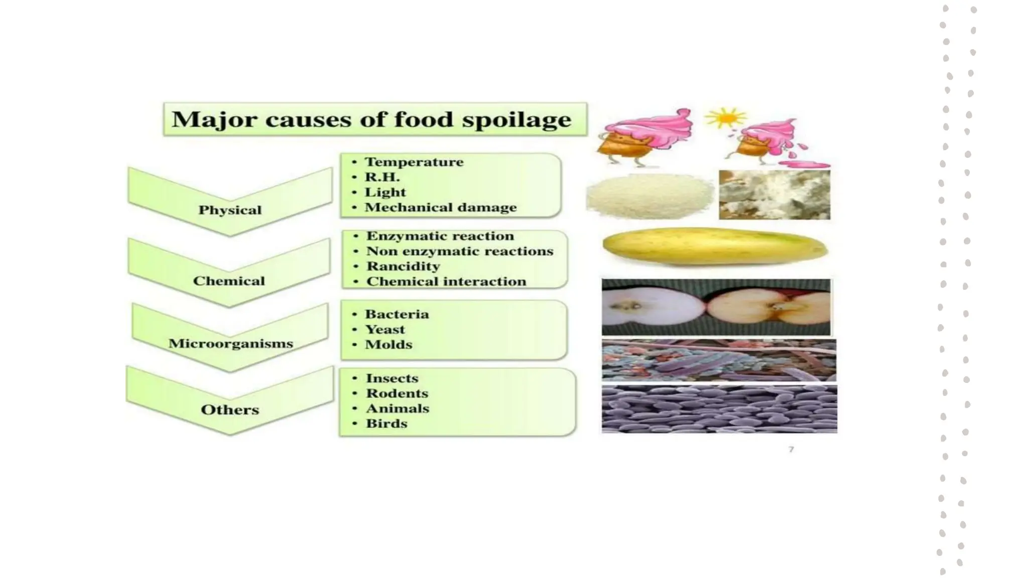 Spoilage of Fresh and Processed Food.pptx