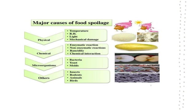 Spoilage of Fresh and Processed Food.pptx | Chemistry | Science