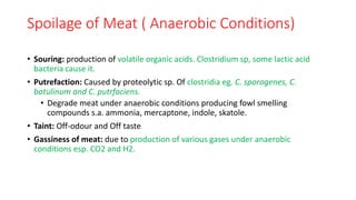 Spoilage of food products and causes.pptx