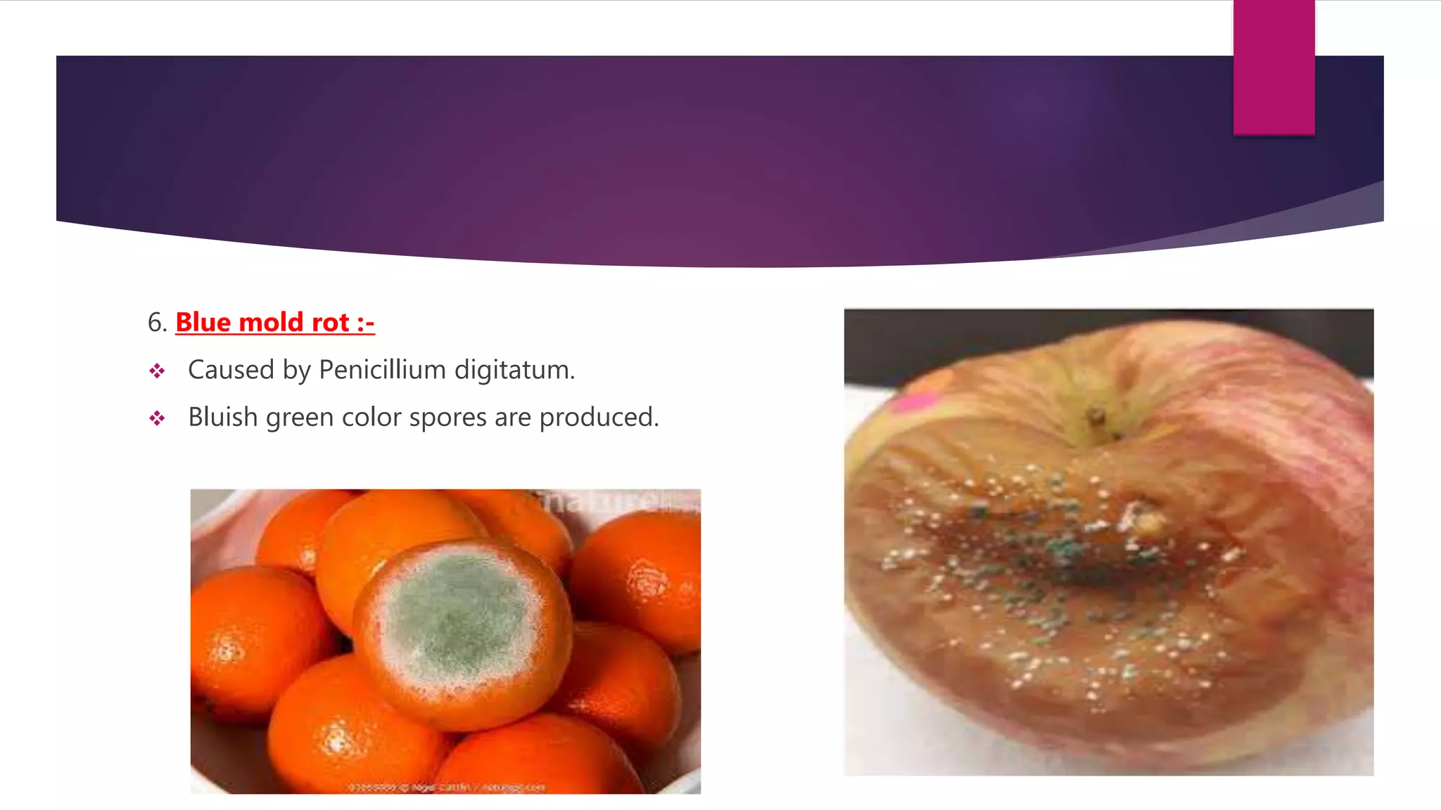 Spoilage of fruits and vegetables | PPTX