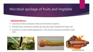 Spoilage of fruits and vegetables | PPTX